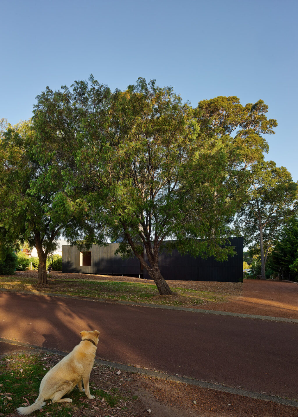 MORQ > Karri Loop House | HIC