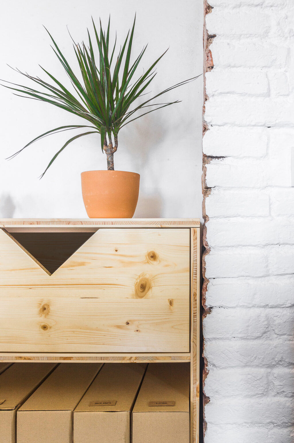 NUA arquitectures > Transformation of an old store into a studio | HIC