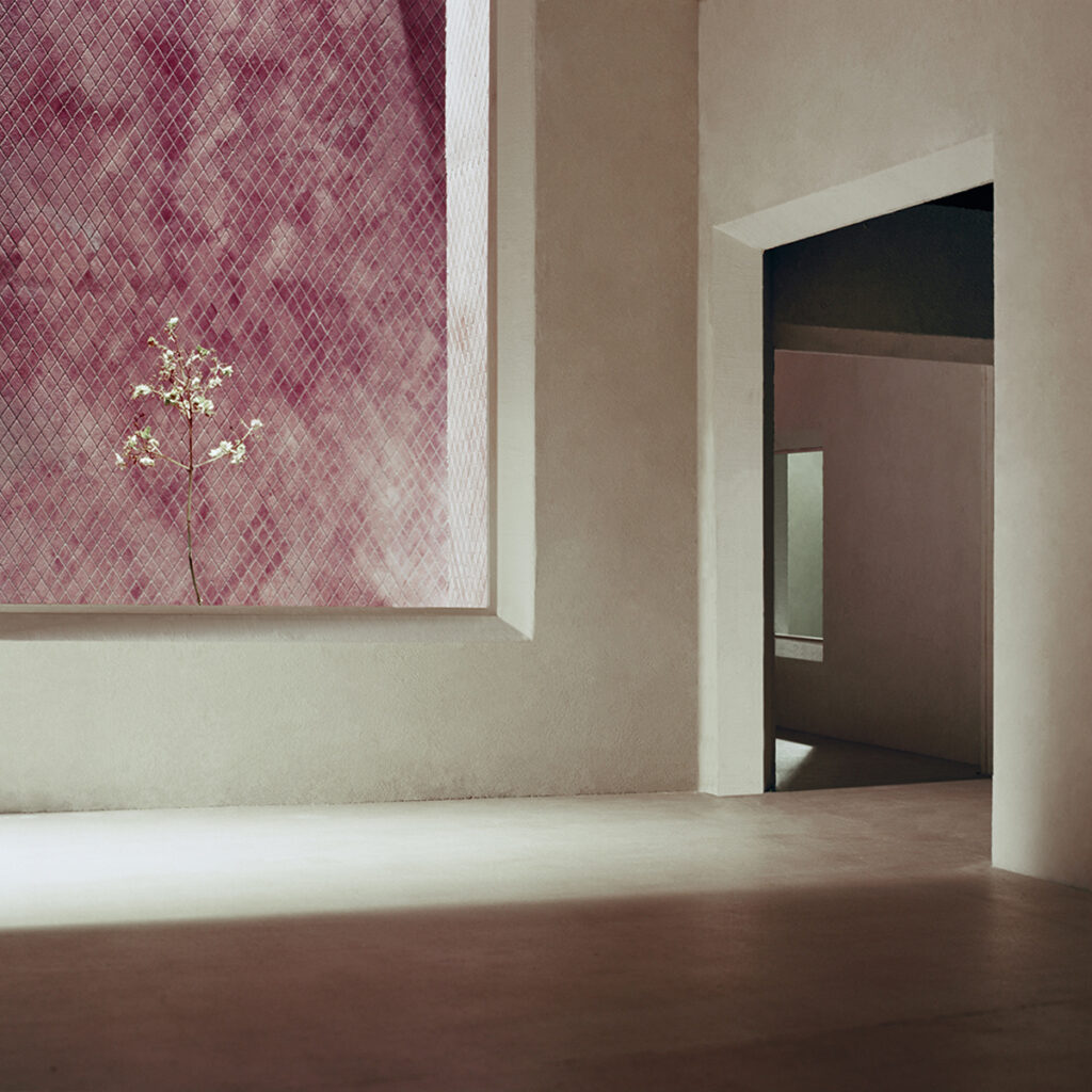 Francesca Torzo > z33 house for contemporary art | HIC