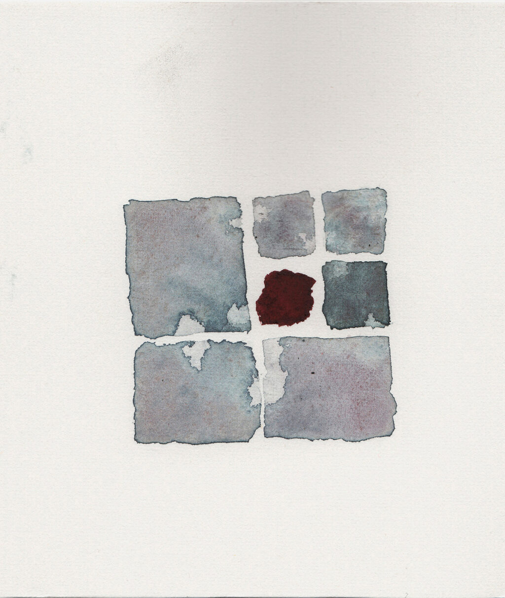 Francesca Torzo > z33 house for contemporary art | HIC