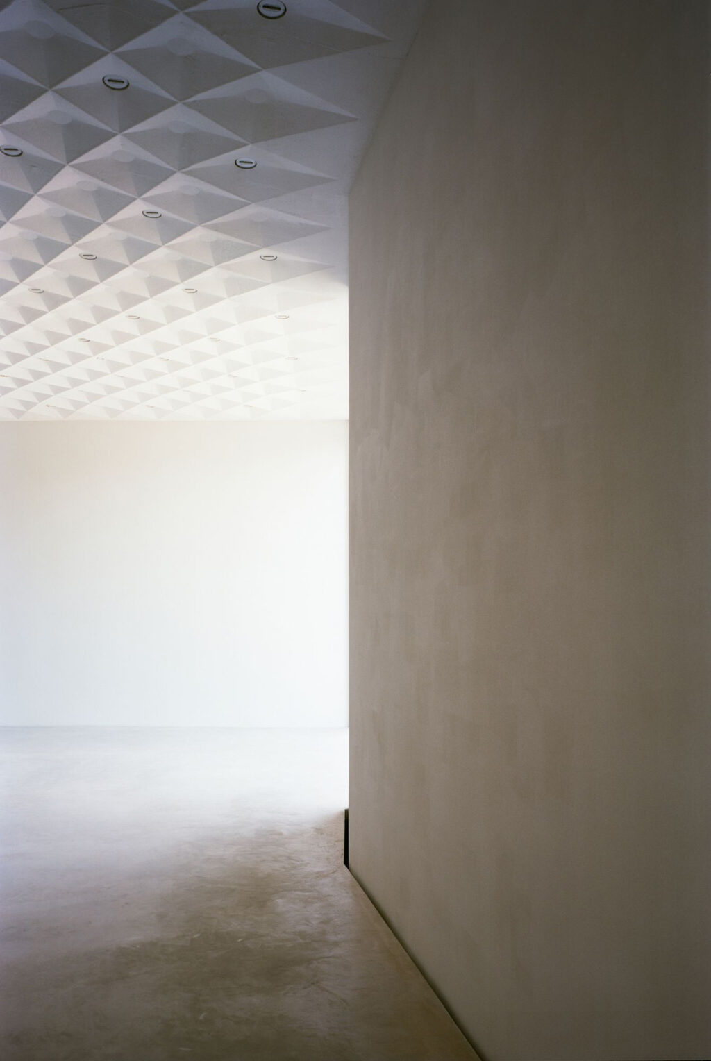 Francesca Torzo > z33 house for contemporary art | HIC