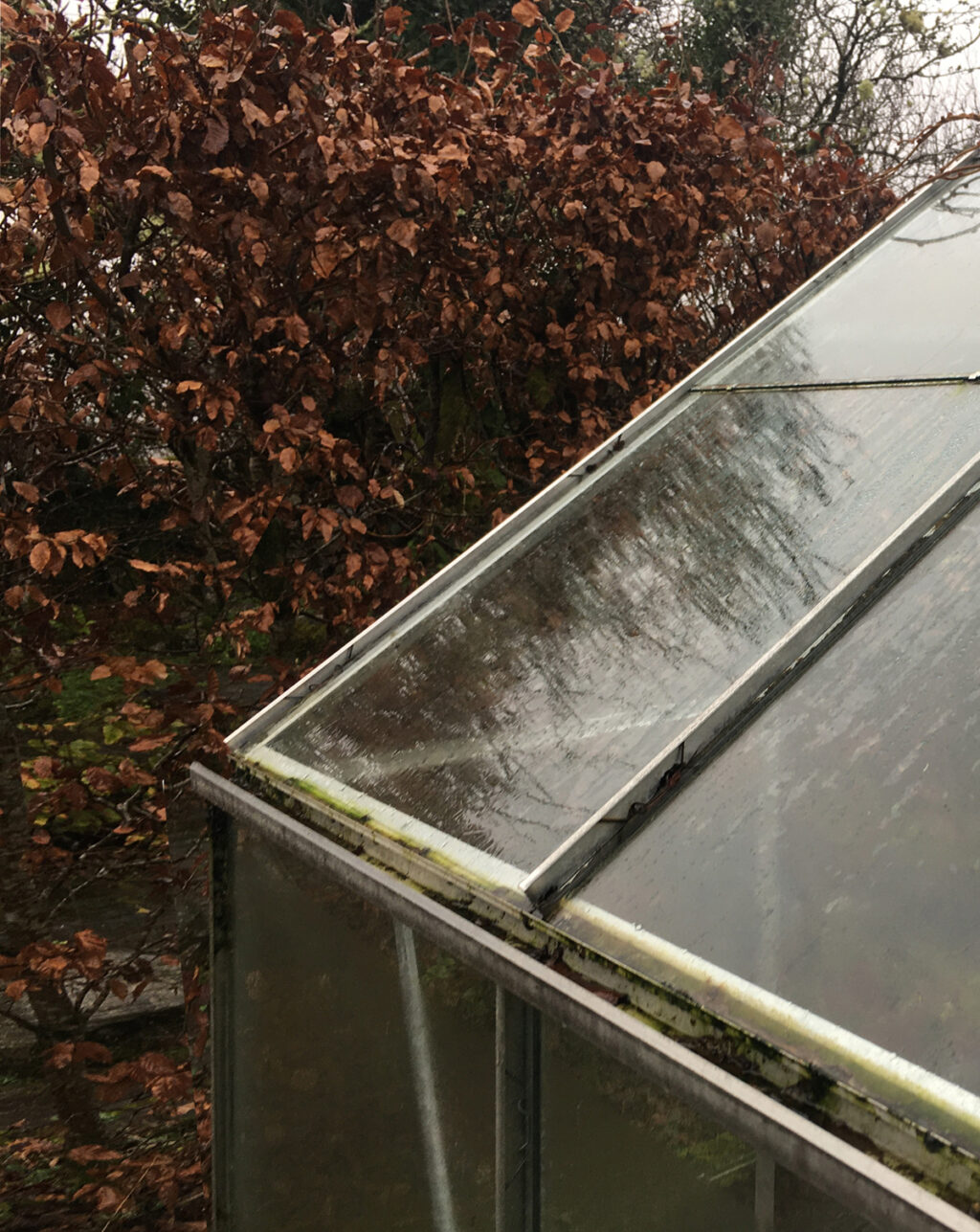 David Leech > A Longhouse | HIC