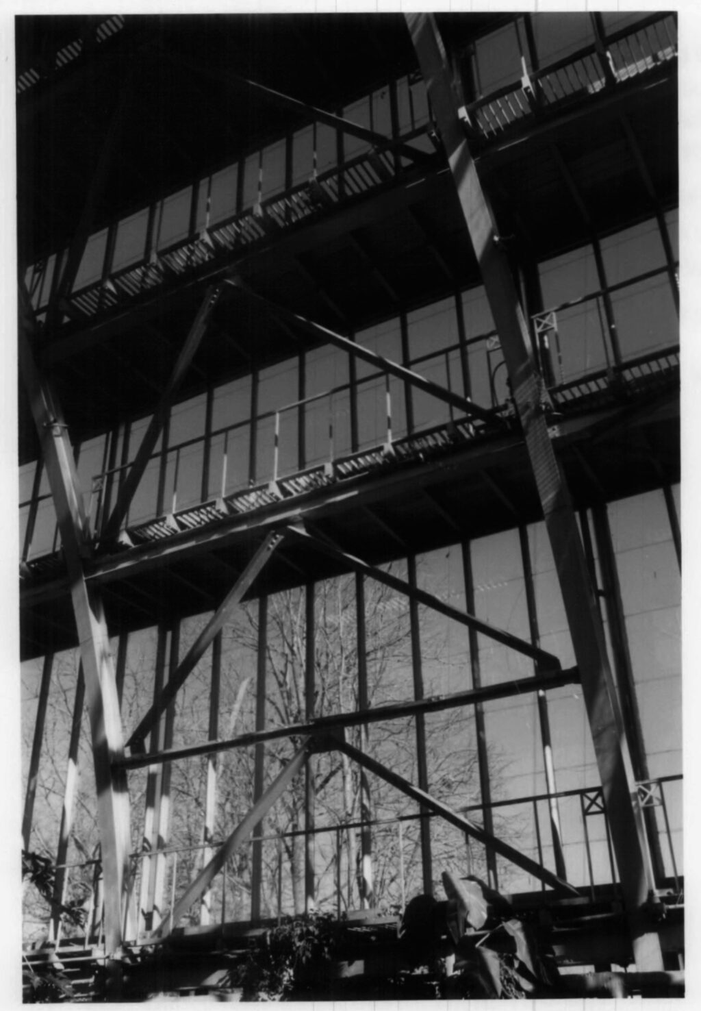 William C. E. Becker > Jewel Box | HIC