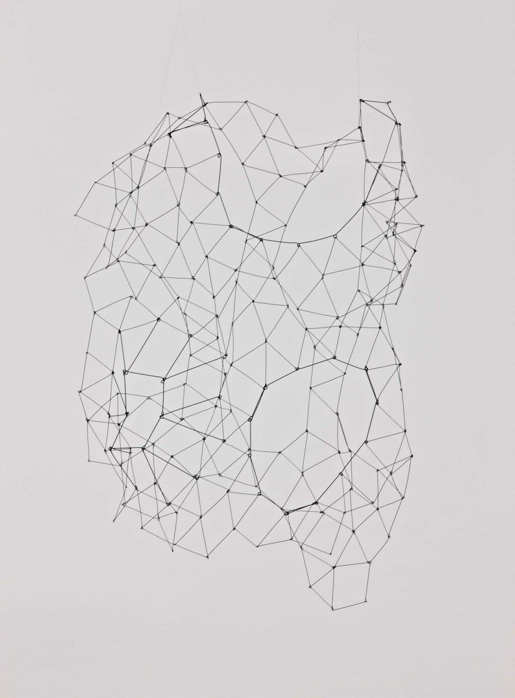 Gego > Reticulárea | HIC