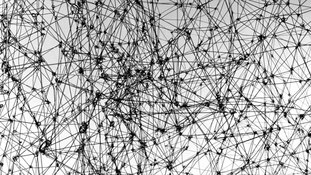 Gego > Reticulárea | HIC