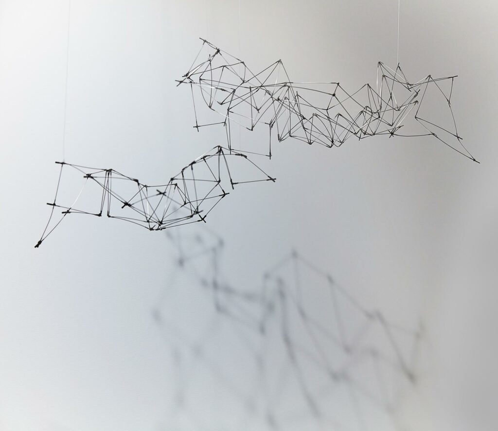 Gego > Reticulárea | HIC