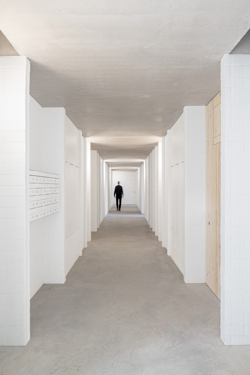 dataAE + Xavier Vendrell Studio > Turó del Sastre Social Housing | HIC