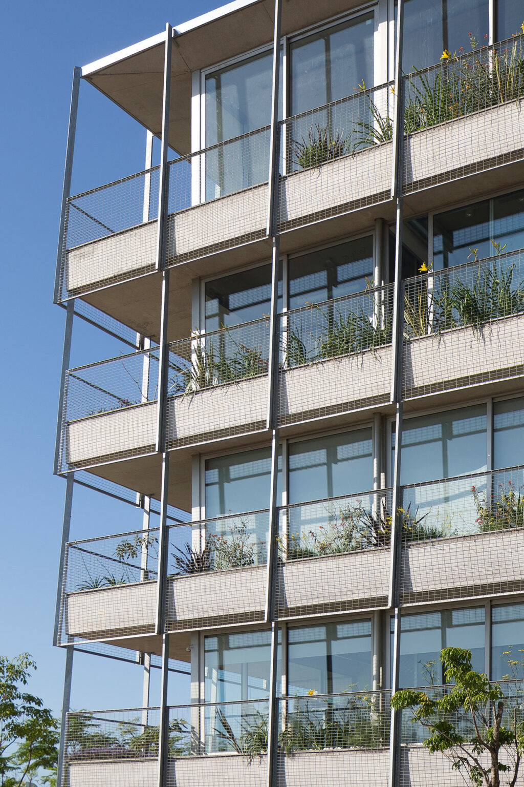 Adamo-Faiden > Plaza Building | HIC