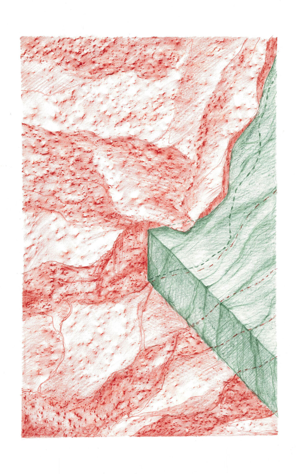 Studio SER > Revealing Encounters | HIC