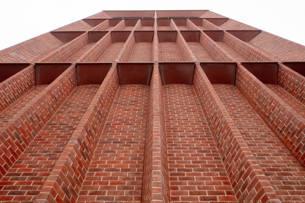 Niall McLaughlin > International Rugby Experience | HIC