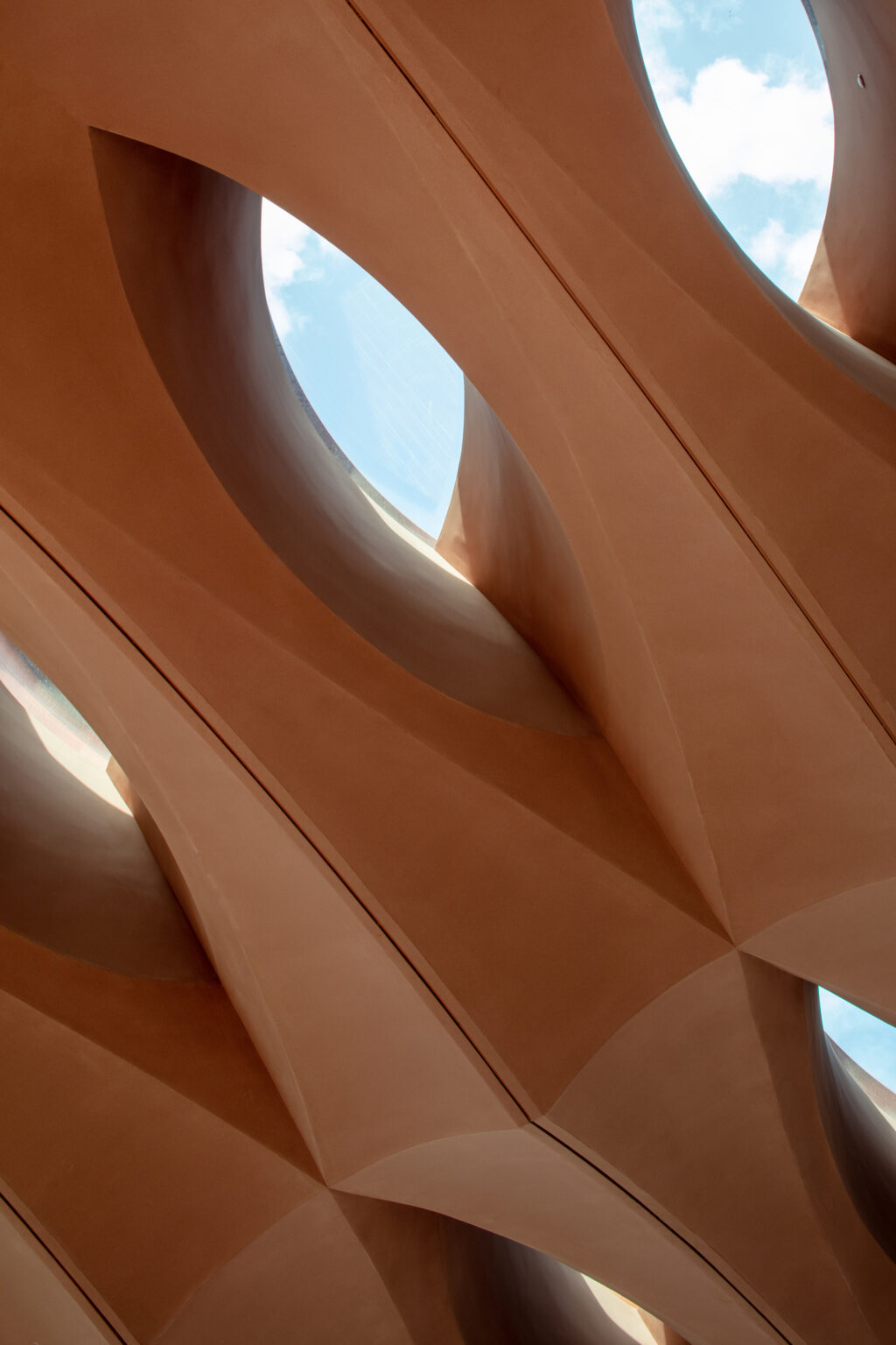 Niall McLaughlin > International Rugby Experience | HIC