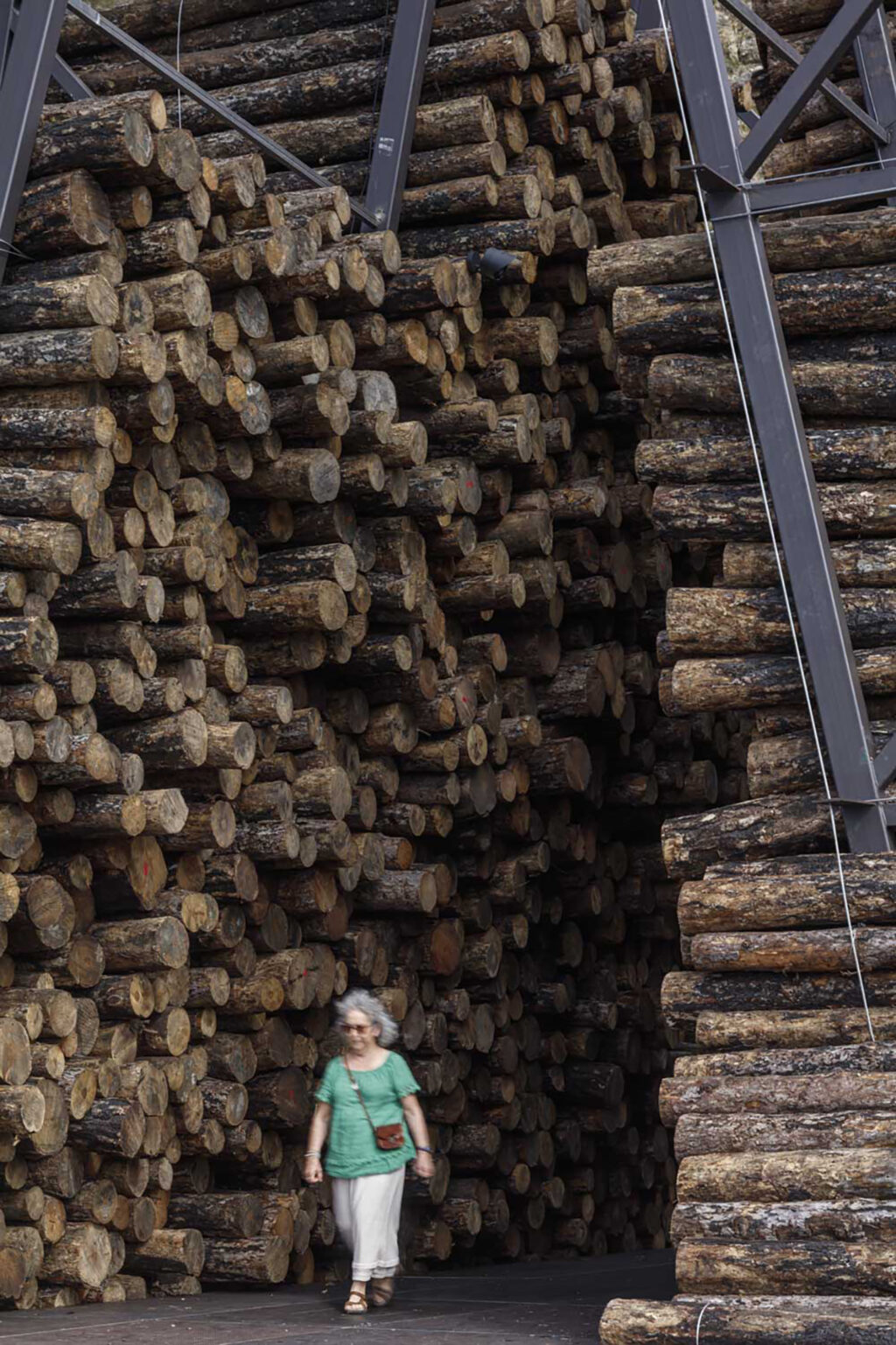 Julia Ruiz-Cabello Subiela + Santiago del Águila > Lost Forest | HIC