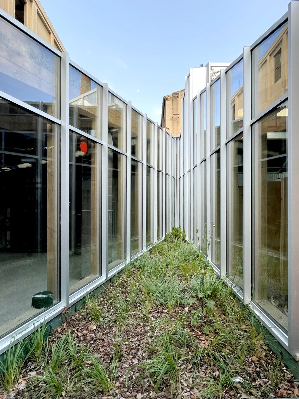 Amadeu Santacana, Umberto Viotto > L’Escocesa | HIC